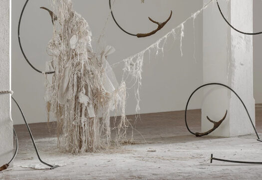 Dominique White. Que te liberes y vivas más que tu enemigo ...