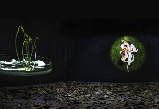 Ensayo sobre la lentitud, CCEMX | ::Hipermedula.org