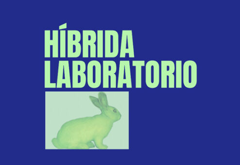 Híbrida, Laboratorio de experimentación artística | ::Hipermedula.org